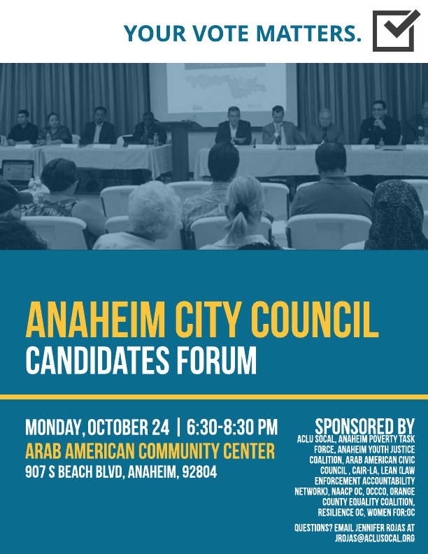 Mobilizing Arab Americans to vote this November! – Arab American Civic ...